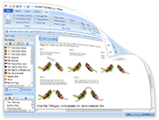 Sample vRigger Files